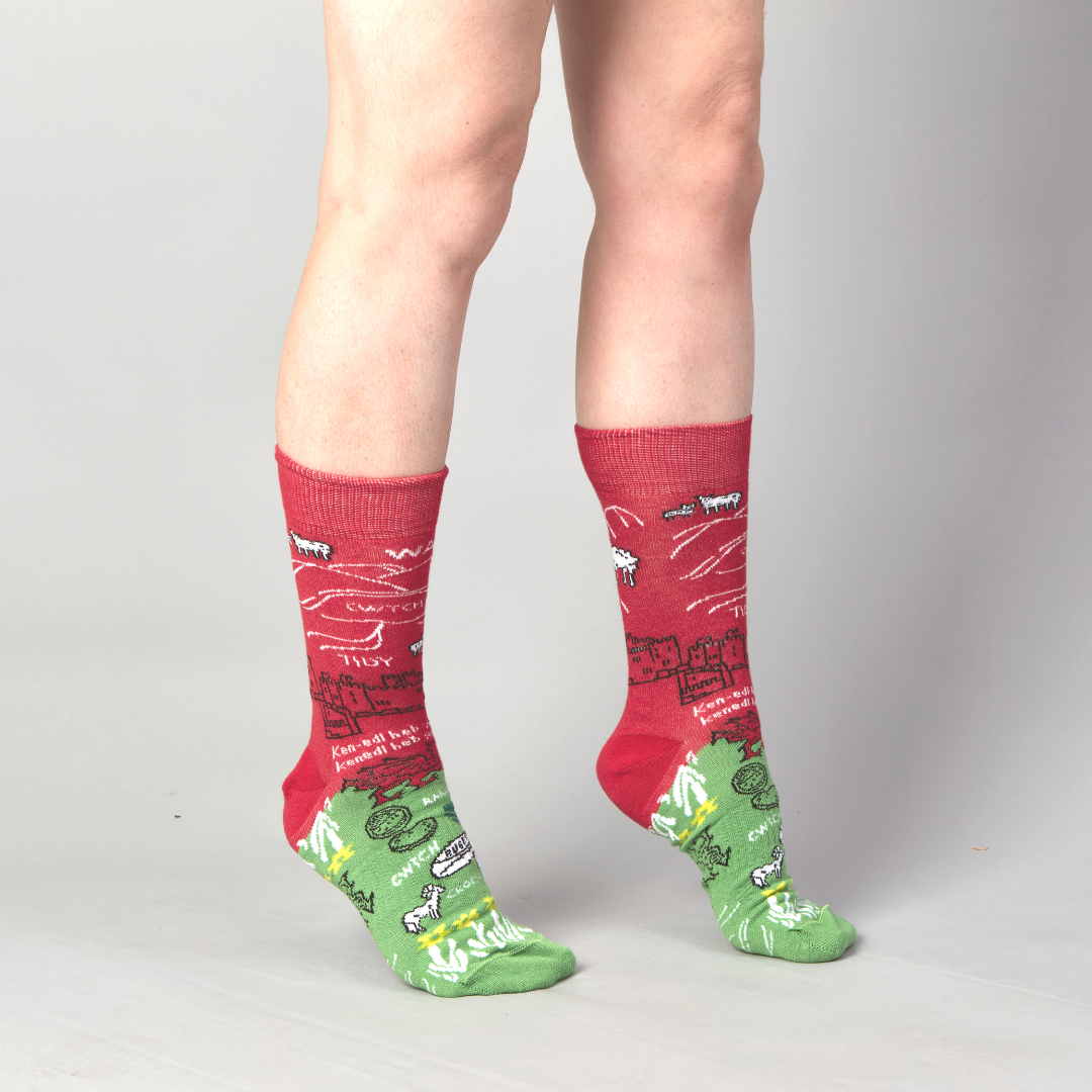 Wales Sock | Stand4 Socks | Buy One = Give One